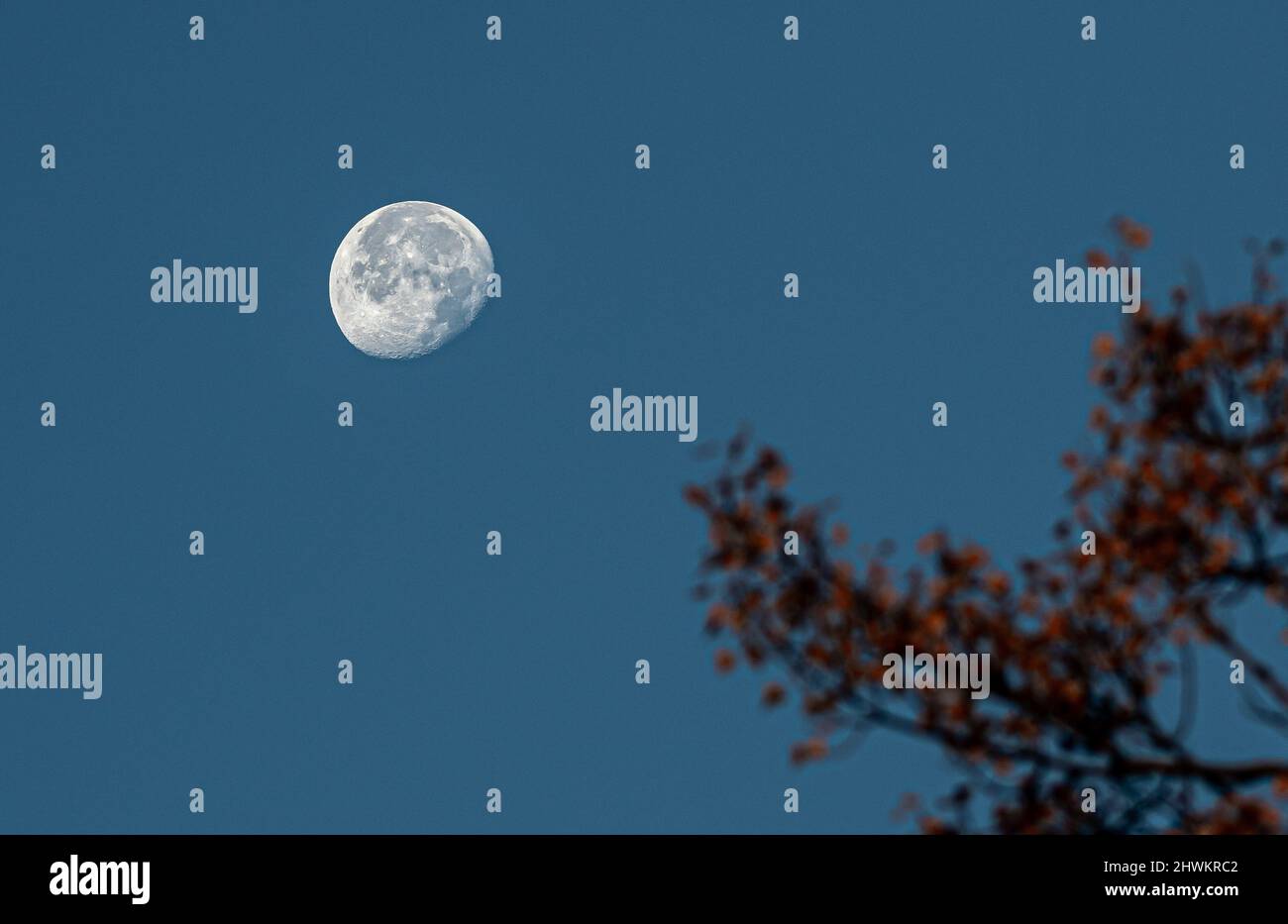 Twilight universe hi-res stock photography and images - Alamy