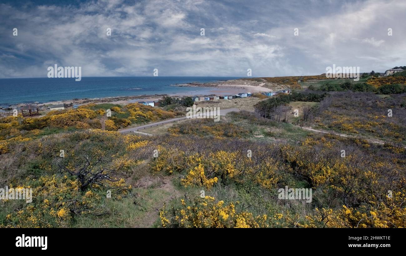Best scottish beach hi-res stock photography and images - Alamy
