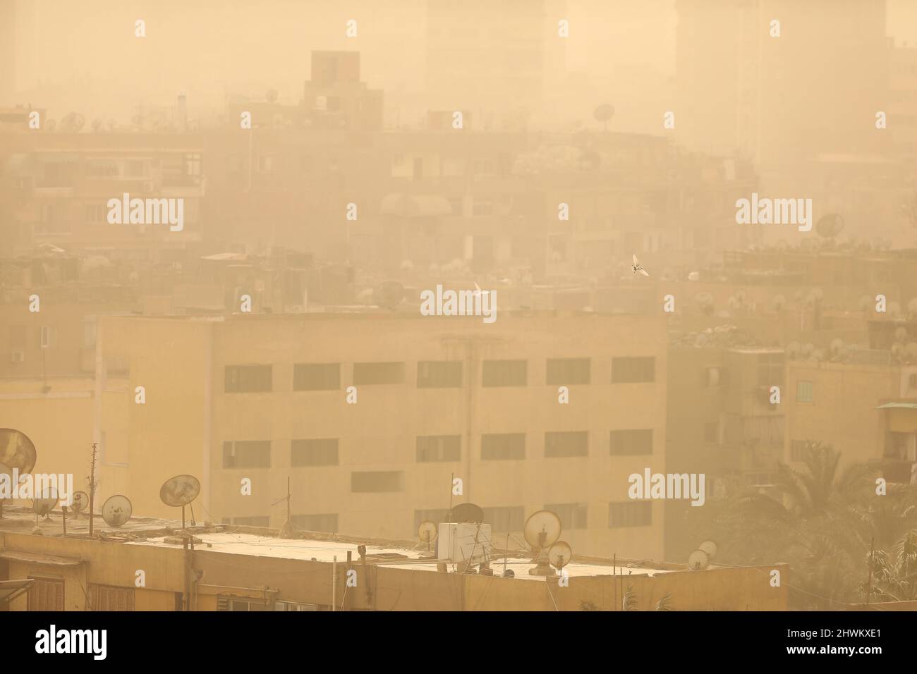 Cairo, Egypt. 6th Mar, 2022. Buildings are shrouded in sand and dust ...