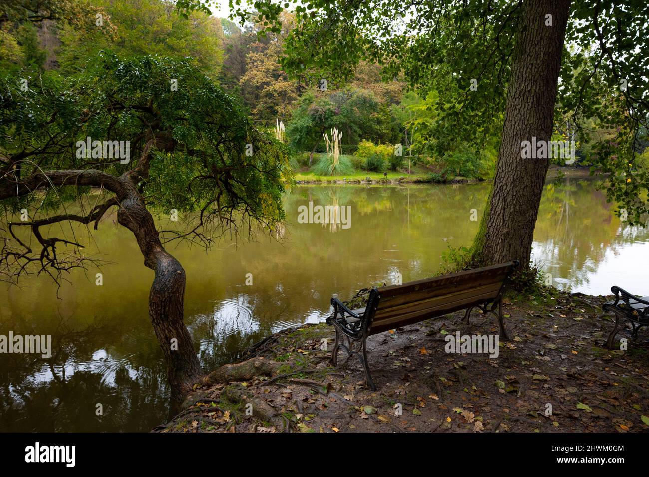 Bench near the lake. A bench near the pond or lake at autumn in the ...