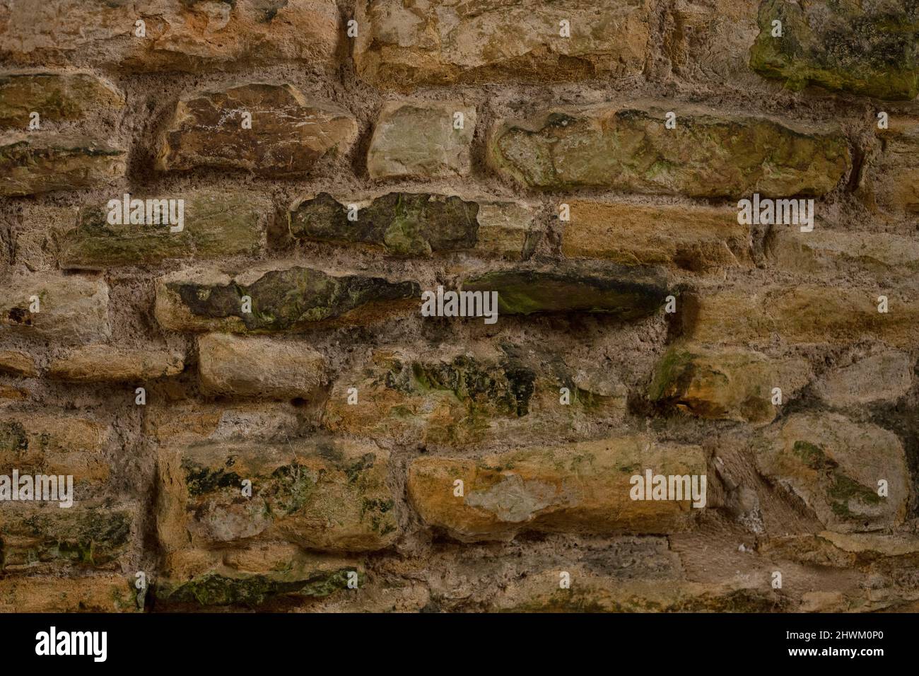 Background of a historic building wall with some green patches of moss ...