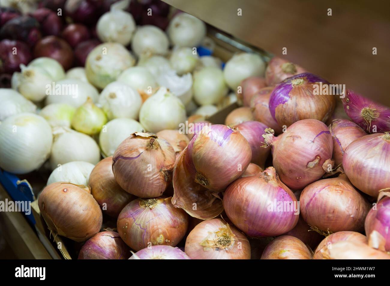 Various farm organic onions hi-res stock photography and images - Alamy