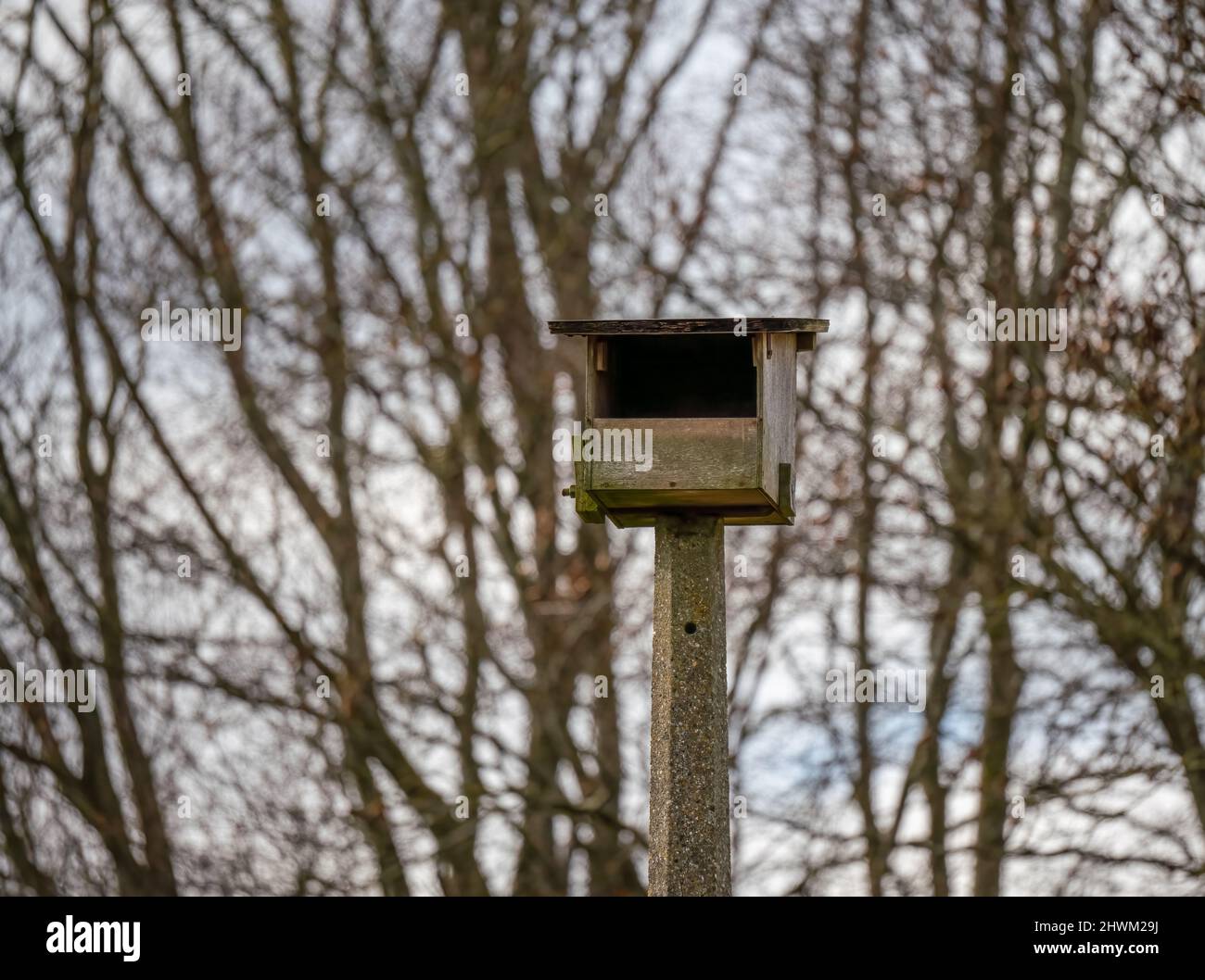 very large nesting box fitted atop an old concrete lamp post suitable ...