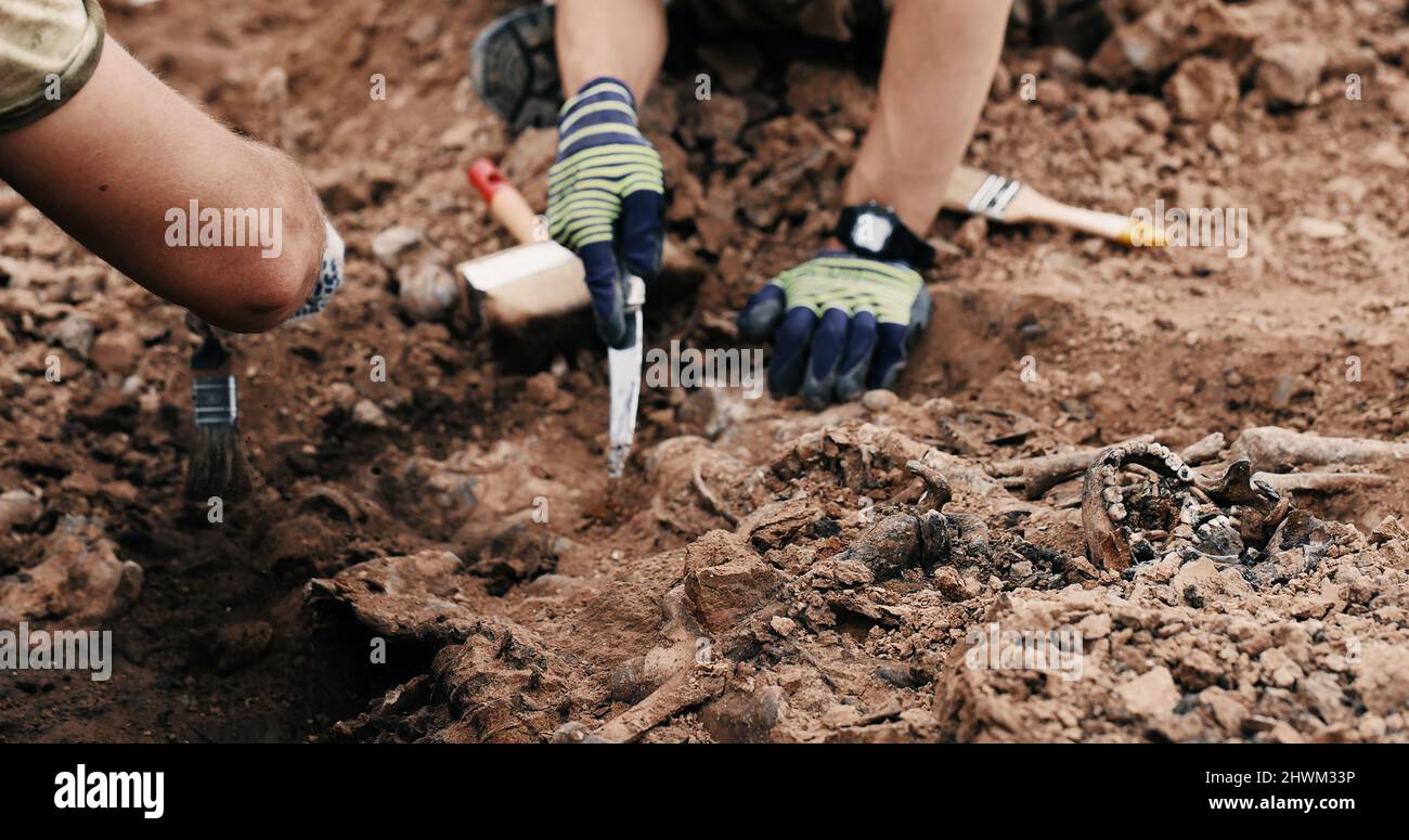 Archaeological excavations at the crime scene, Human remains in the ...