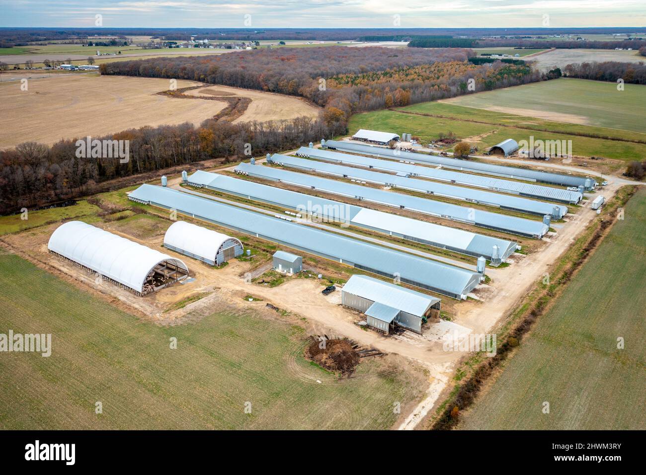 Aerial view chicken farm hi-res stock photography and images - Alamy
