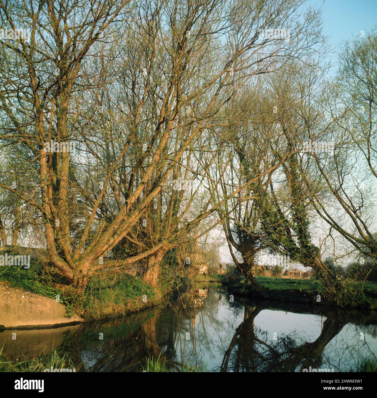 The River Thames at Radcot, Berkshire. 1973 Stock Photo - Alamy