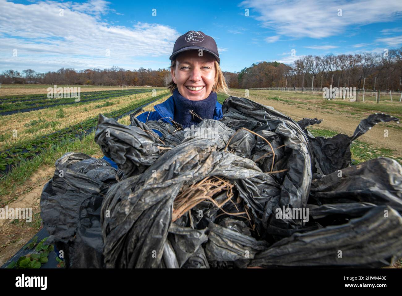 Plastic mulch film hi-res stock photography and images - Alamy