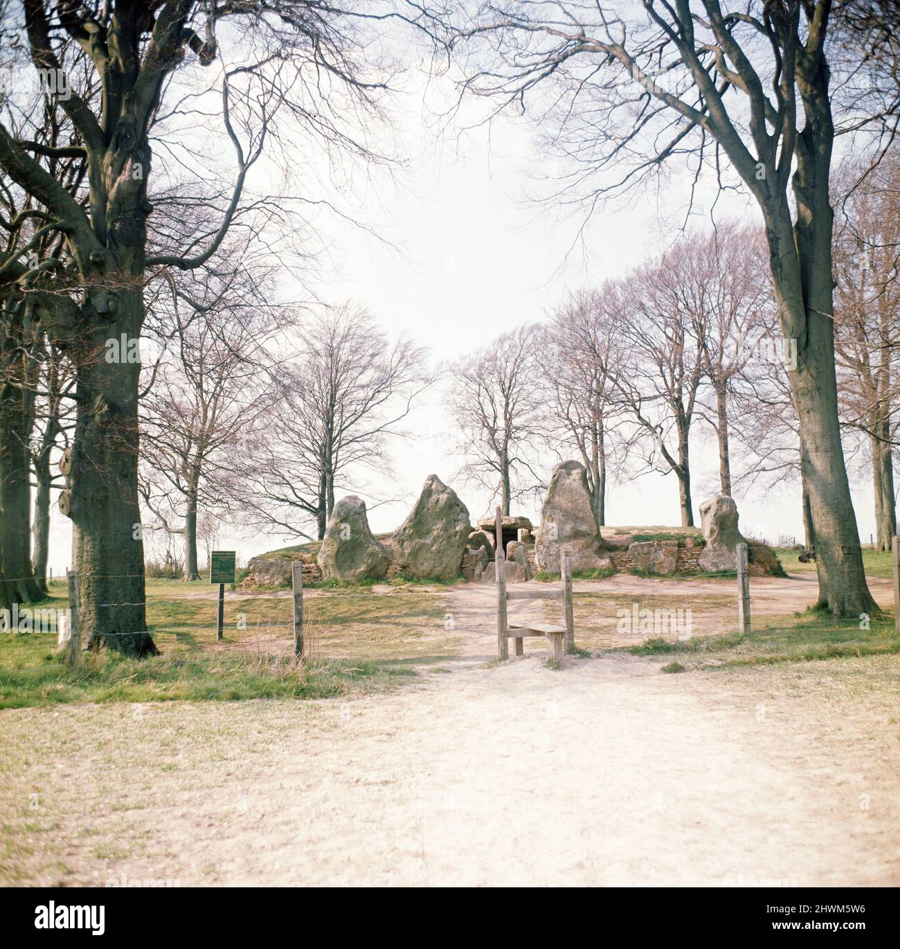 Neolithic horse hi-res stock photography and images - Alamy