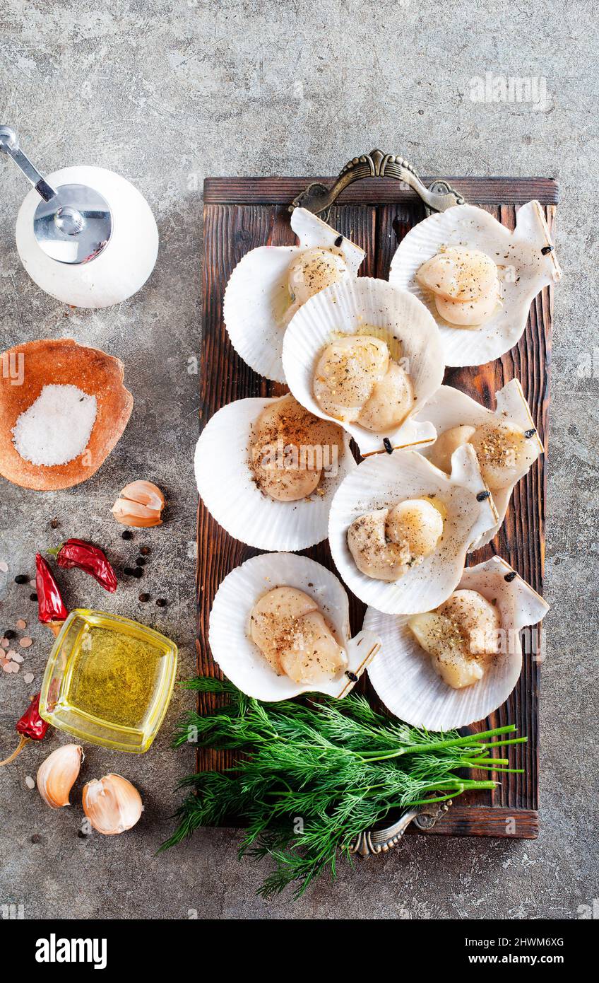 Pecten jacobaeus hi-res stock photography and images - Alamy