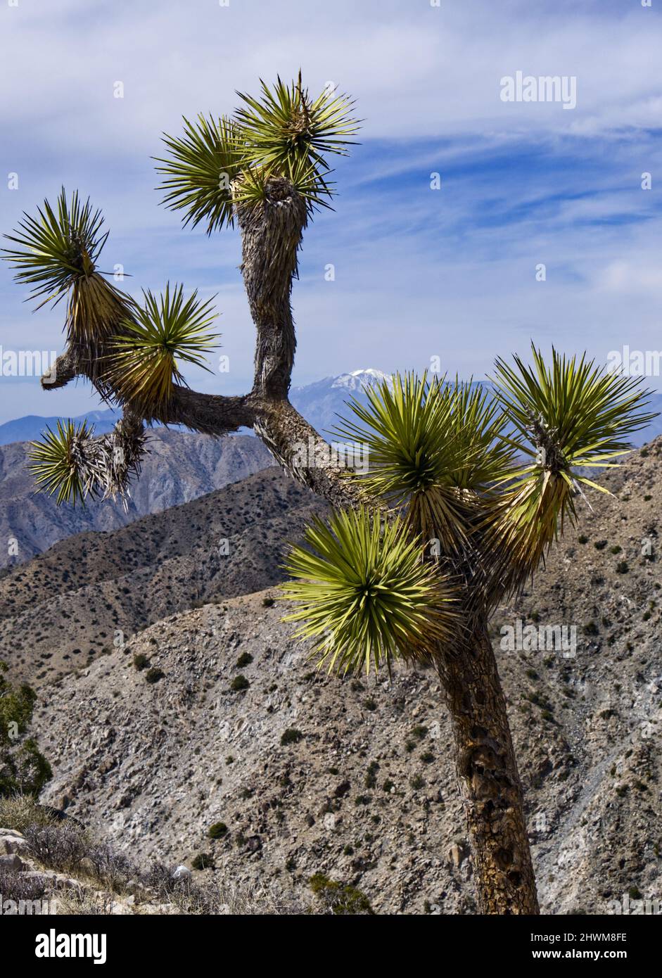 Keys view hi-res stock photography and images - Alamy