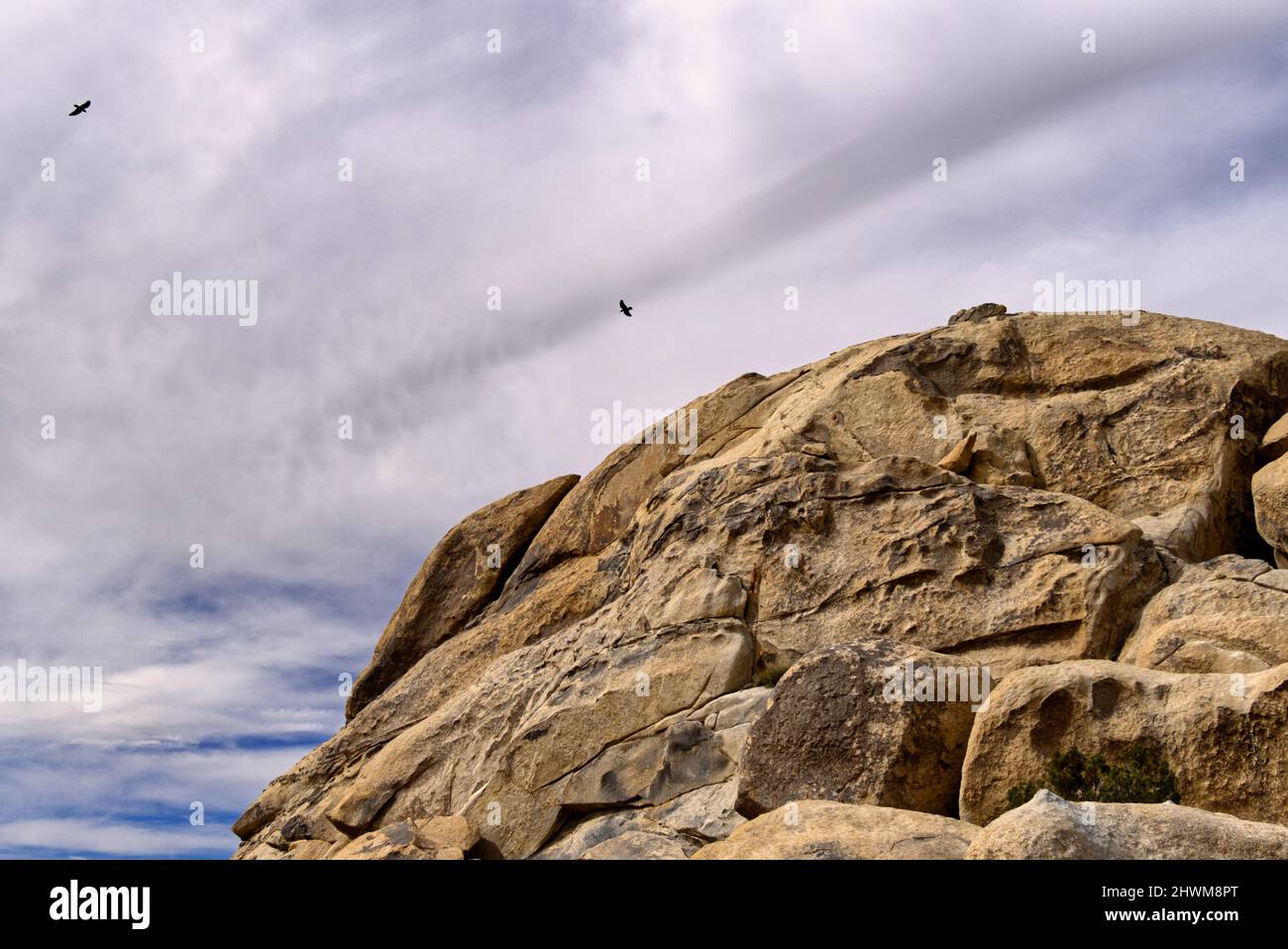 Joshua Tree National Park Birds over Monolith Stock Photo - Alamy