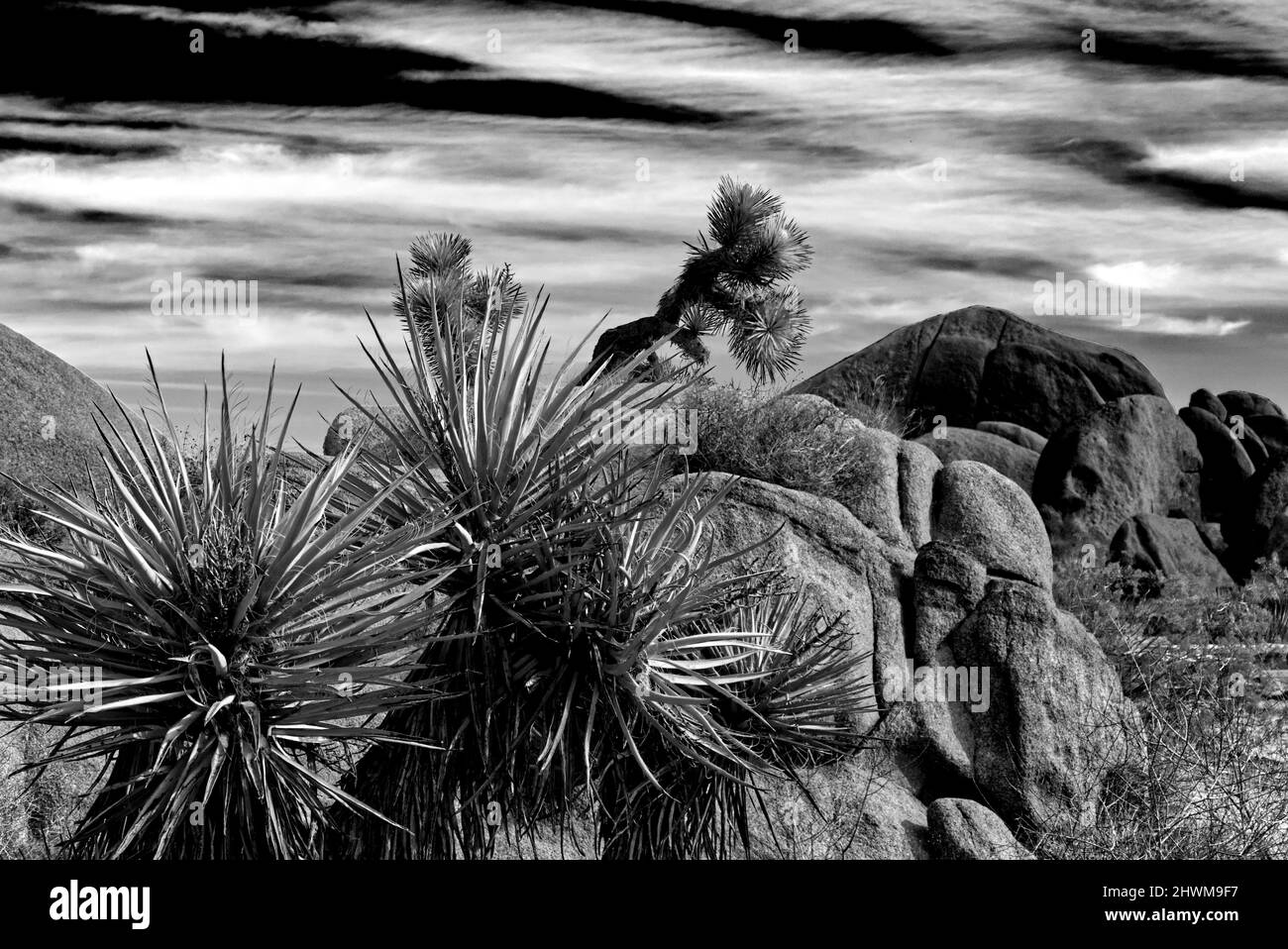 Picturesque view rocky hill Black and White Stock Photos & Images - Alamy