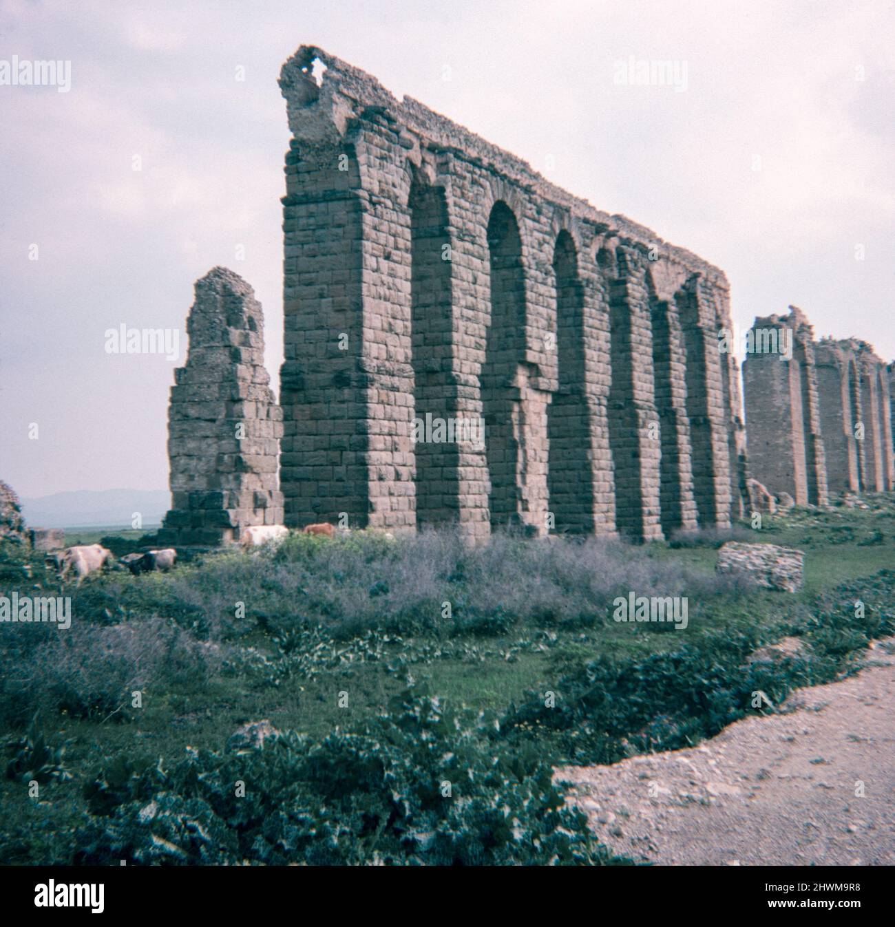 Capital of the carthaginian tunisia hi-res stock photography and images ...