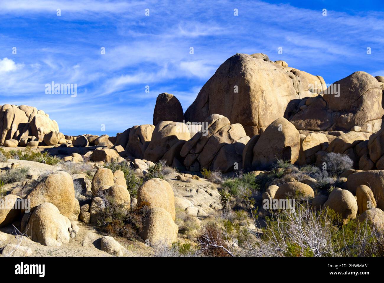 Joshua Tree National Park Rock Rubble Stock Photo - Alamy