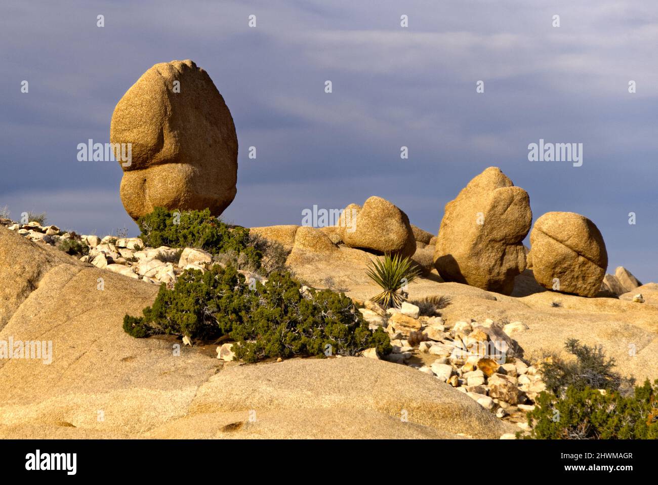 Skull rock nature trail hi-res stock photography and images - Alamy