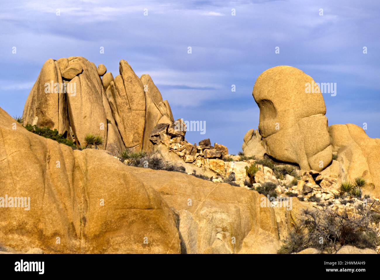 Joshua Tree National Park Skull Rock Trail Geology Stock Photo - Alamy