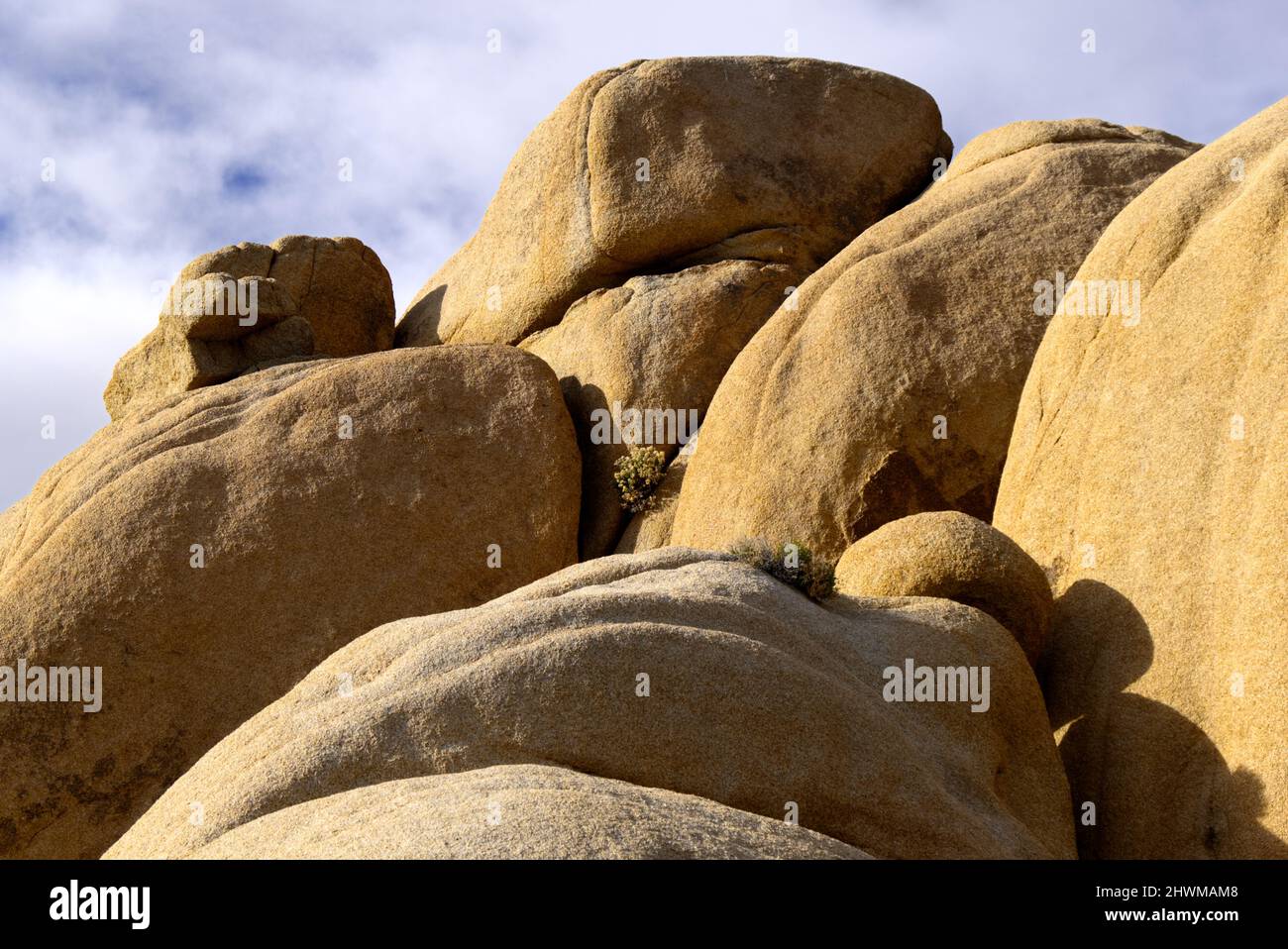Joshua Tree National Park Skull Rock Trail Rock Formation Stock Photo ...