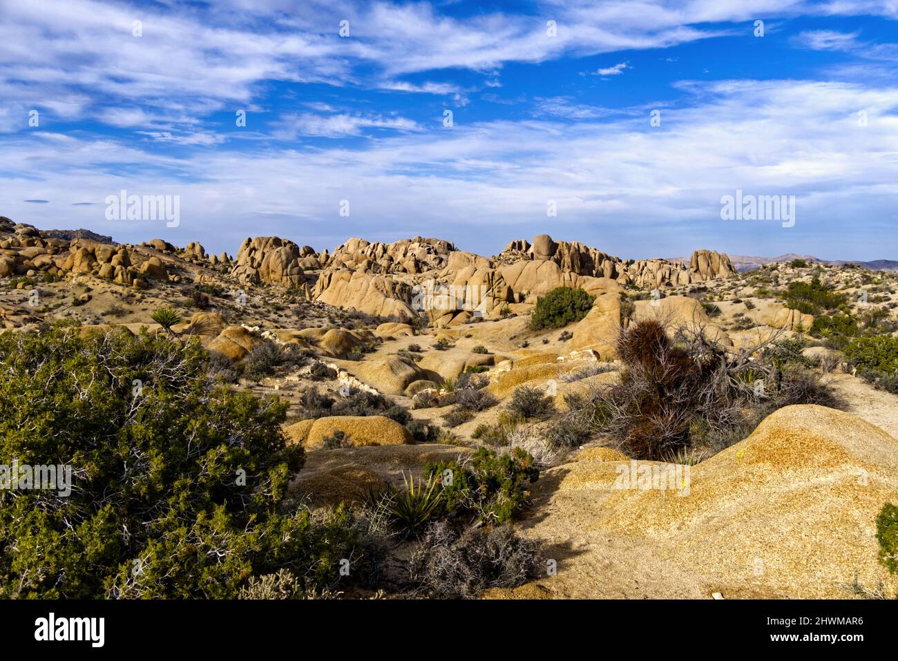 Joshua Tree National Park Skull Rock Trail Terrain Stock Photo - Alamy