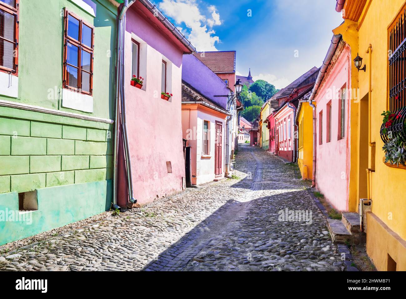 Sighisoara, Romania. Famous paved old streets with colorful houses in ...