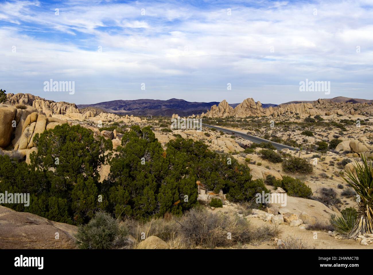Road to joshua tree hi-res stock photography and images - Alamy