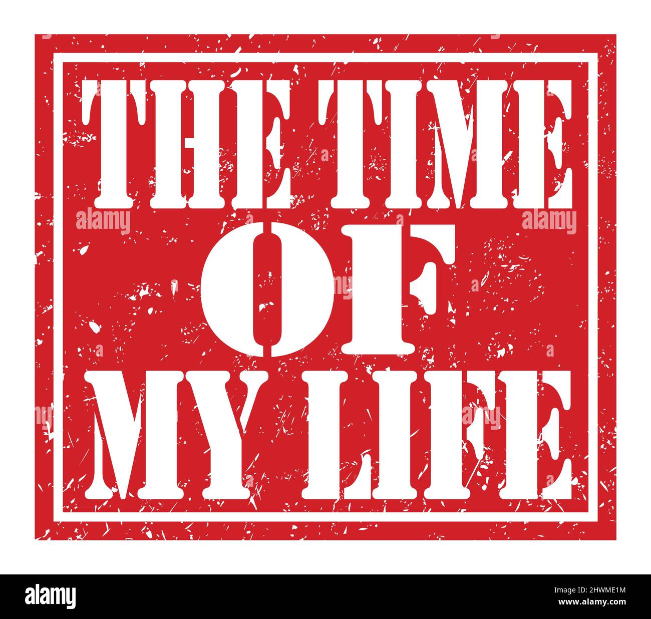 THE TIME OF MY LIFE, words written on red stamp sign Stock Photo - Alamy