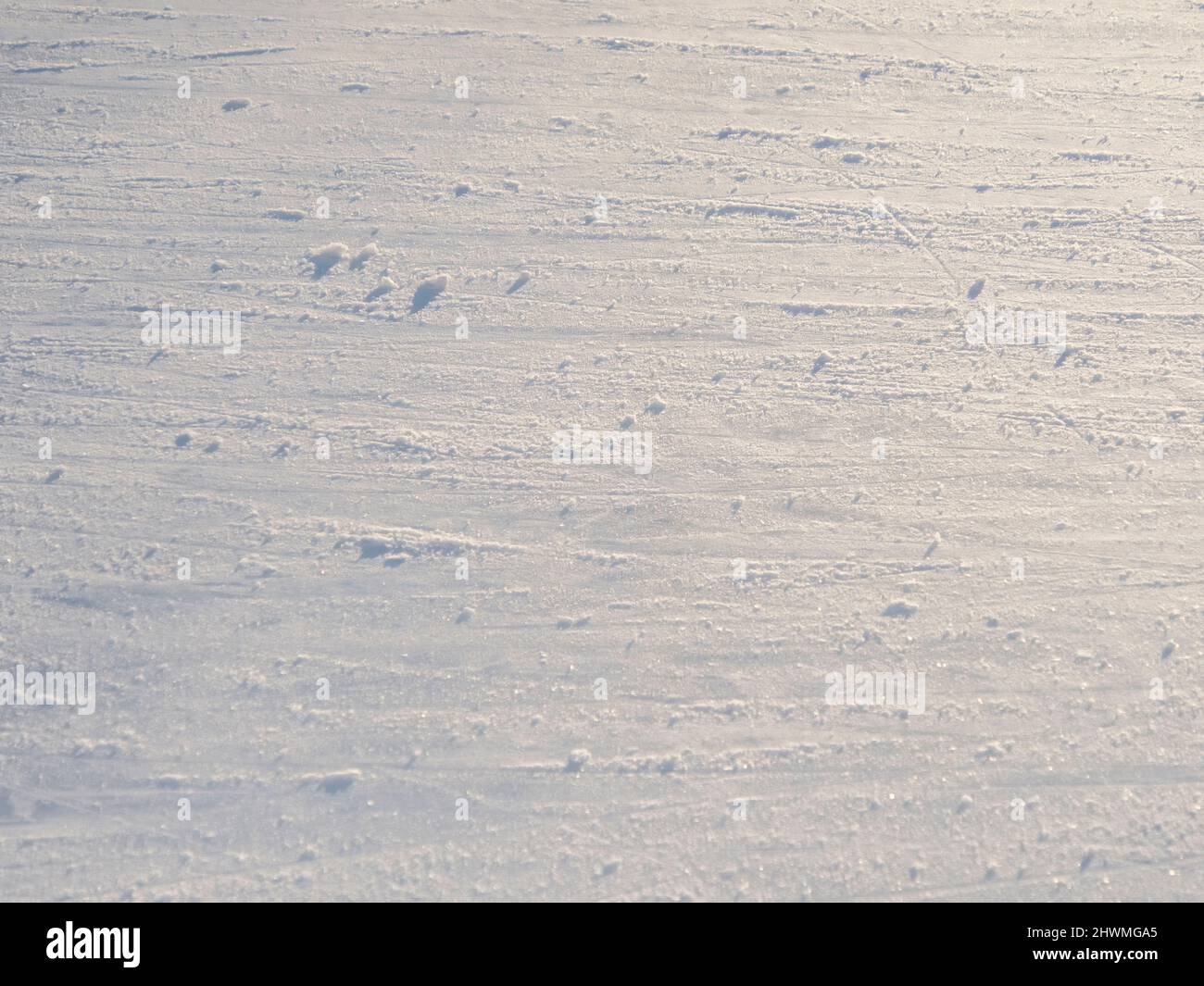 Ice texture on a skating rink, tracks on the ice from skates, frozen ...