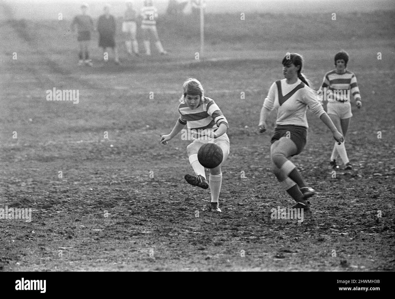 Rose reilly scotland hi-res stock photography and images - Alamy
