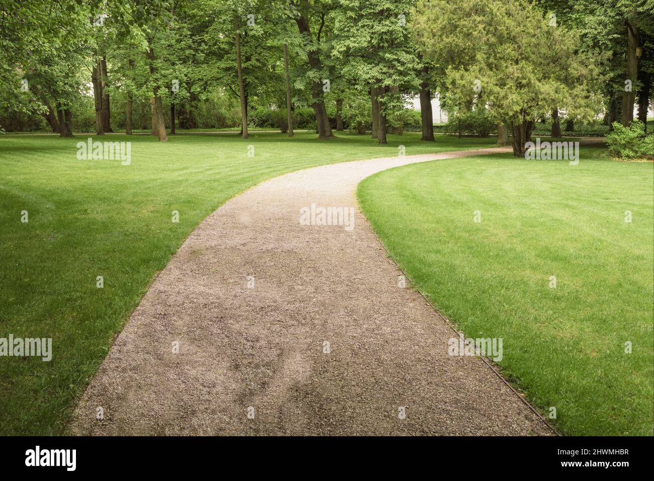 An artificial path on a lawn of fresh grass. Path on grass and covered ...
