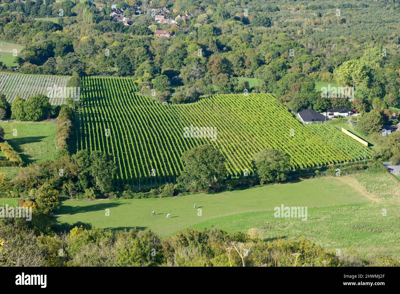 View of the South Downs countryside from Ditchling Beacon to the north ...