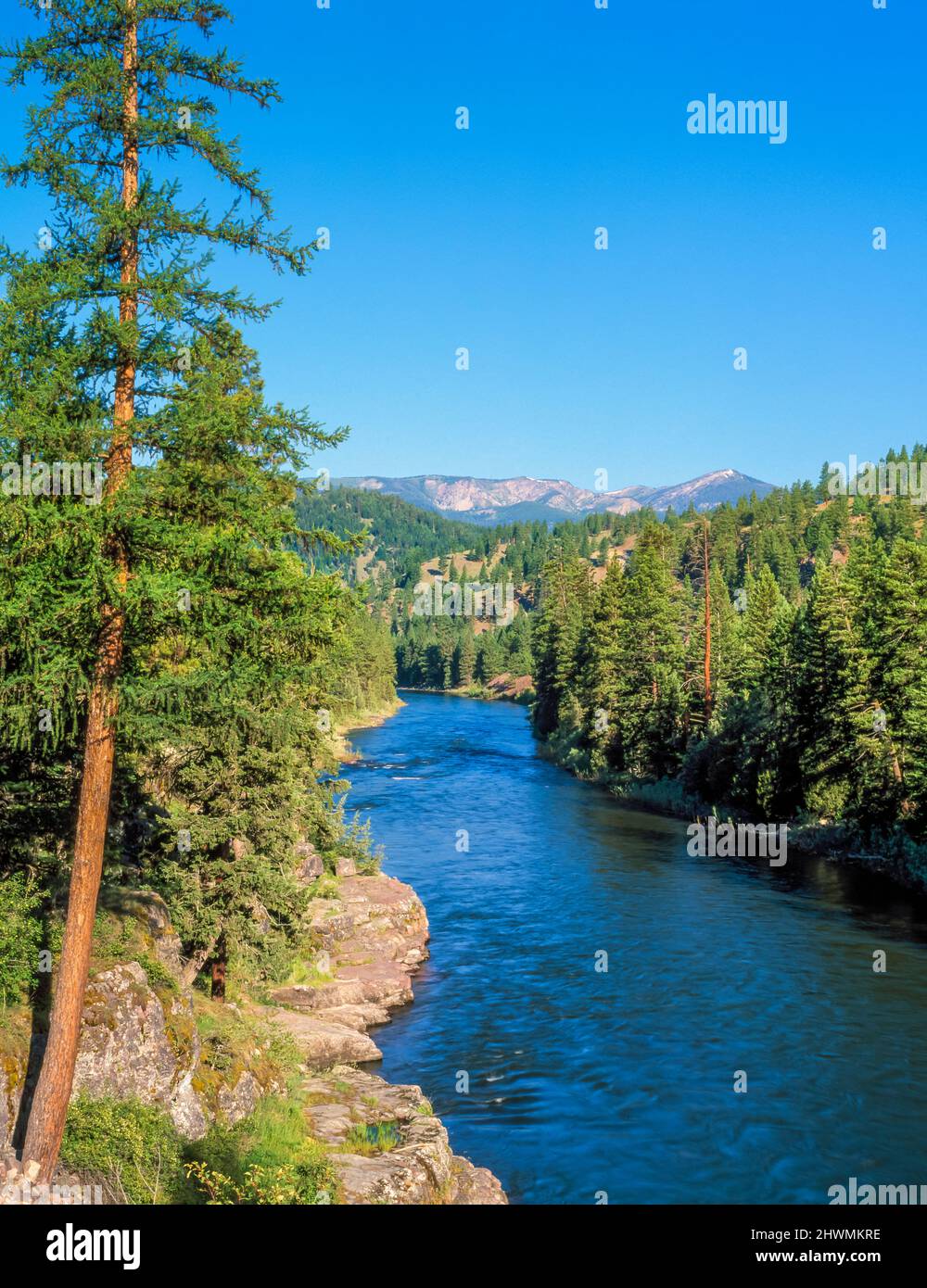 blackfoot river and sheep mountain in the distance near potomac ...