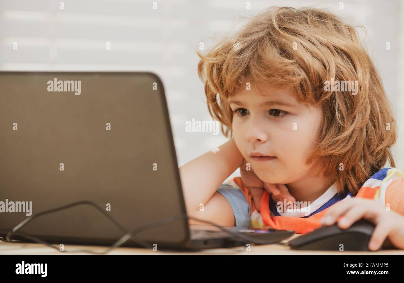 Closeup portrait of school boy looking at the laptop during lesson ...