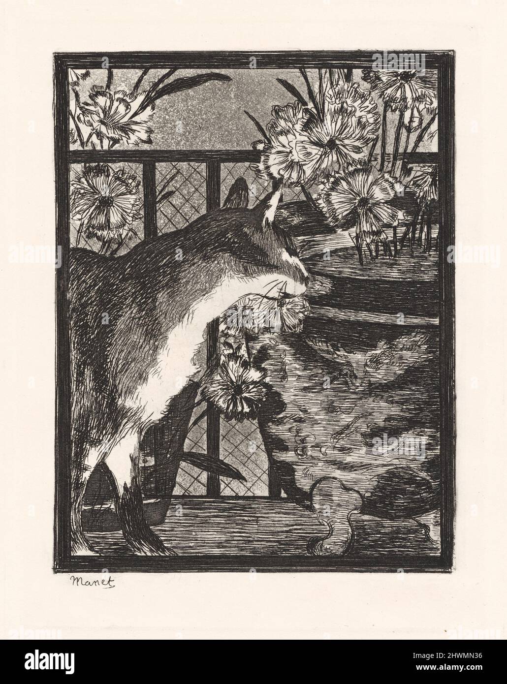Le chat et les fleurs (The Cat and the Flowers). Artist: Édouard Manet ...