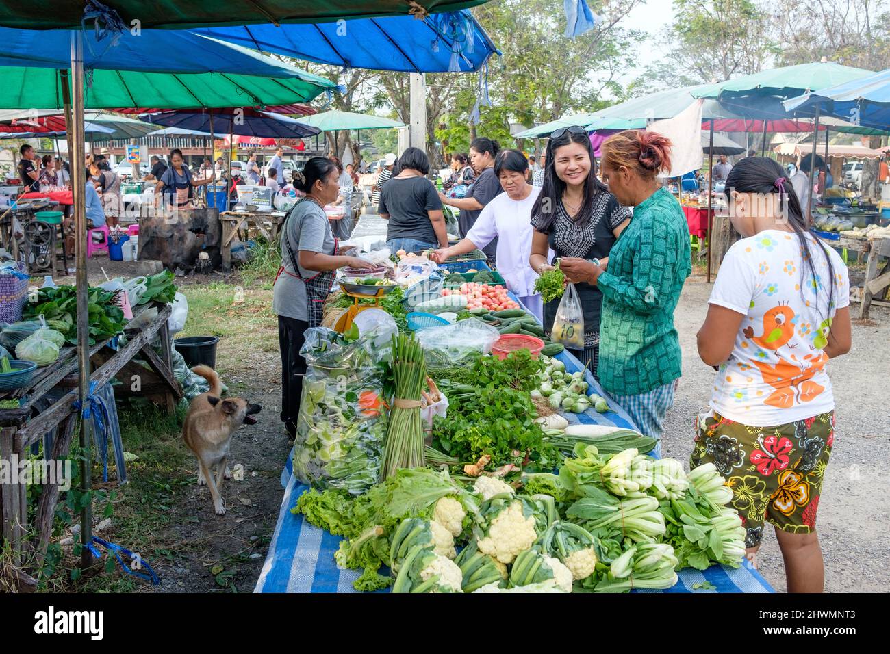 Local Sunday market in Khao Tao village just south of Hua Hin in ...