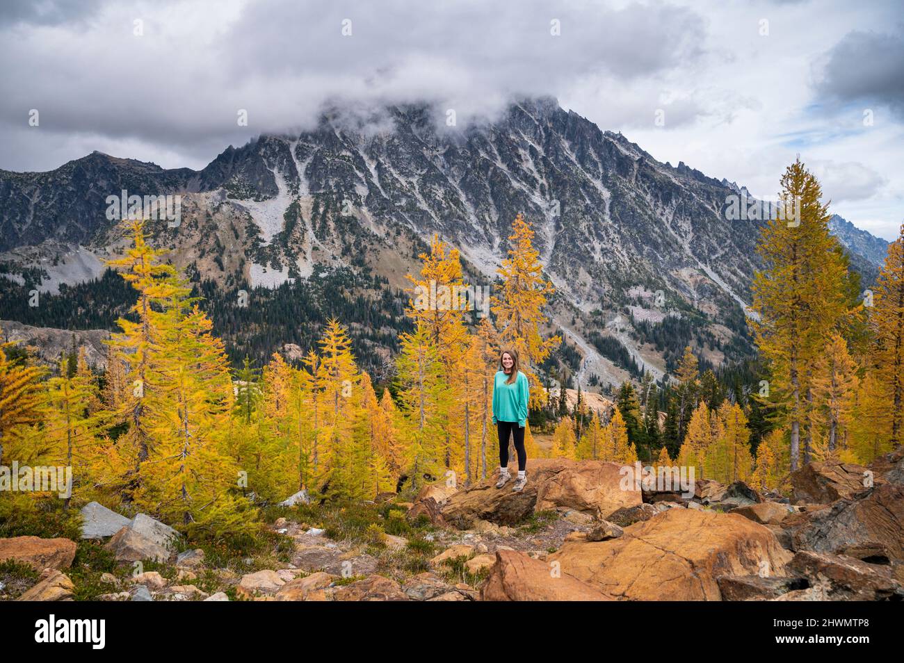 Fit female smiling in a forest of golden larches in the fall Stock ...