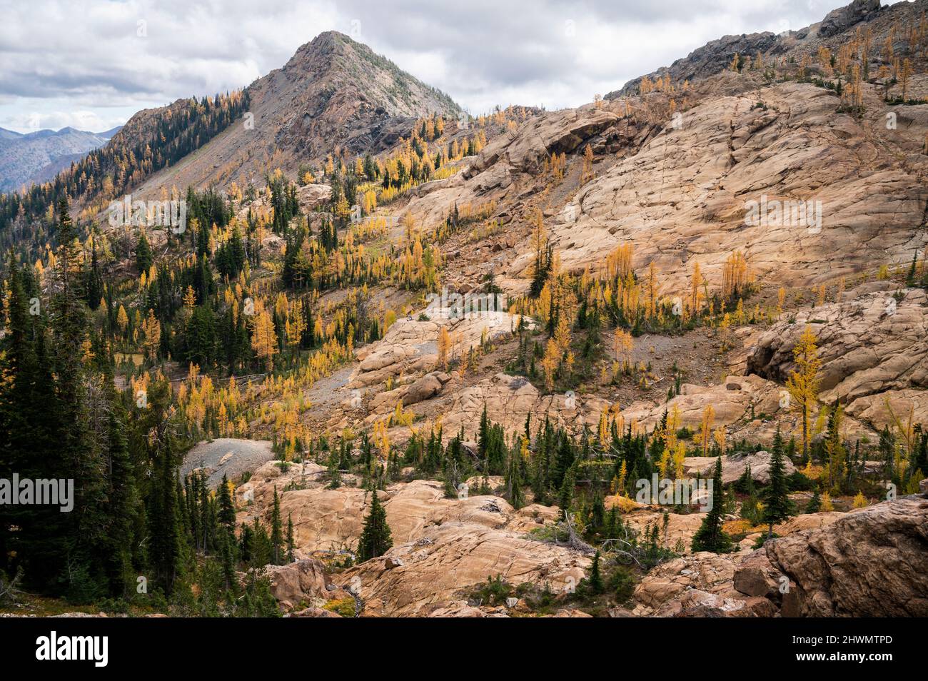 Scenic alpine basin with golden alpine larches in the fall Stock Photo ...