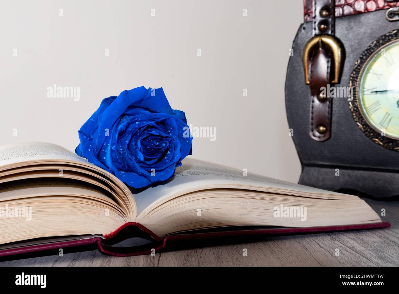 blue rose flower and book Stock Photo - Alamy