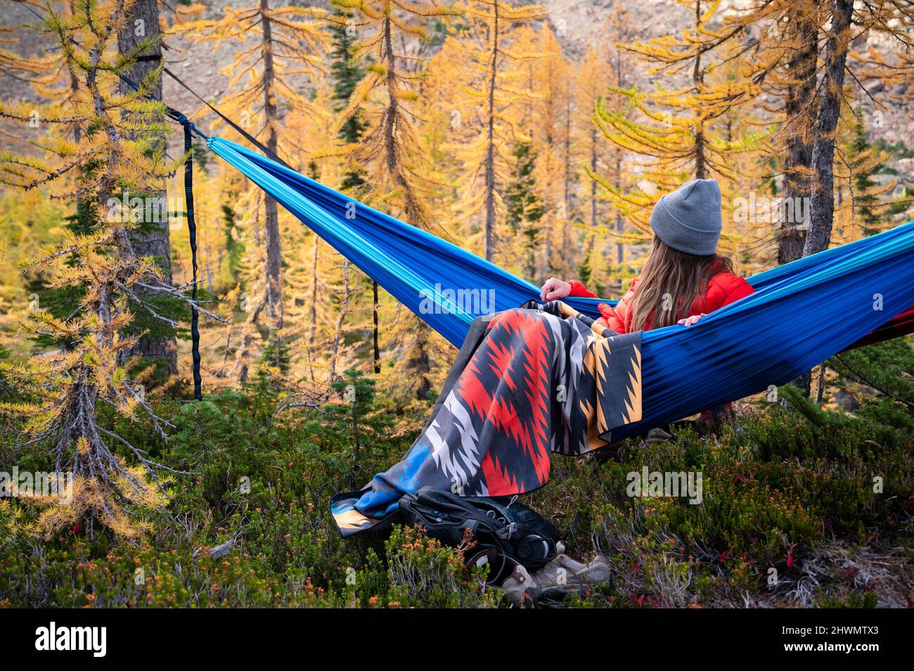 Female relaxing in a hammock in a forest of larches in the fall Stock ...