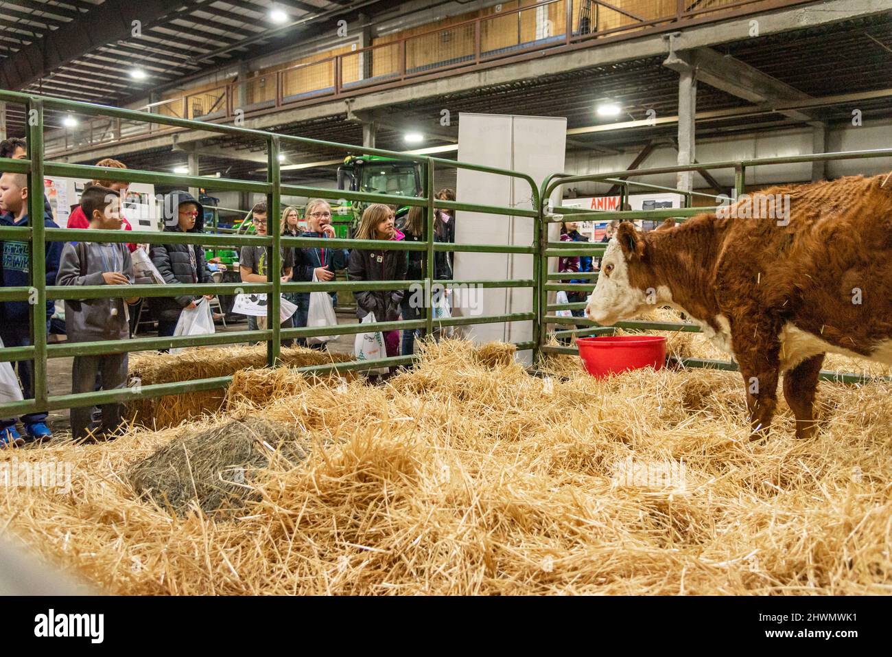 Oregon farm expo education Stock Photo - Alamy