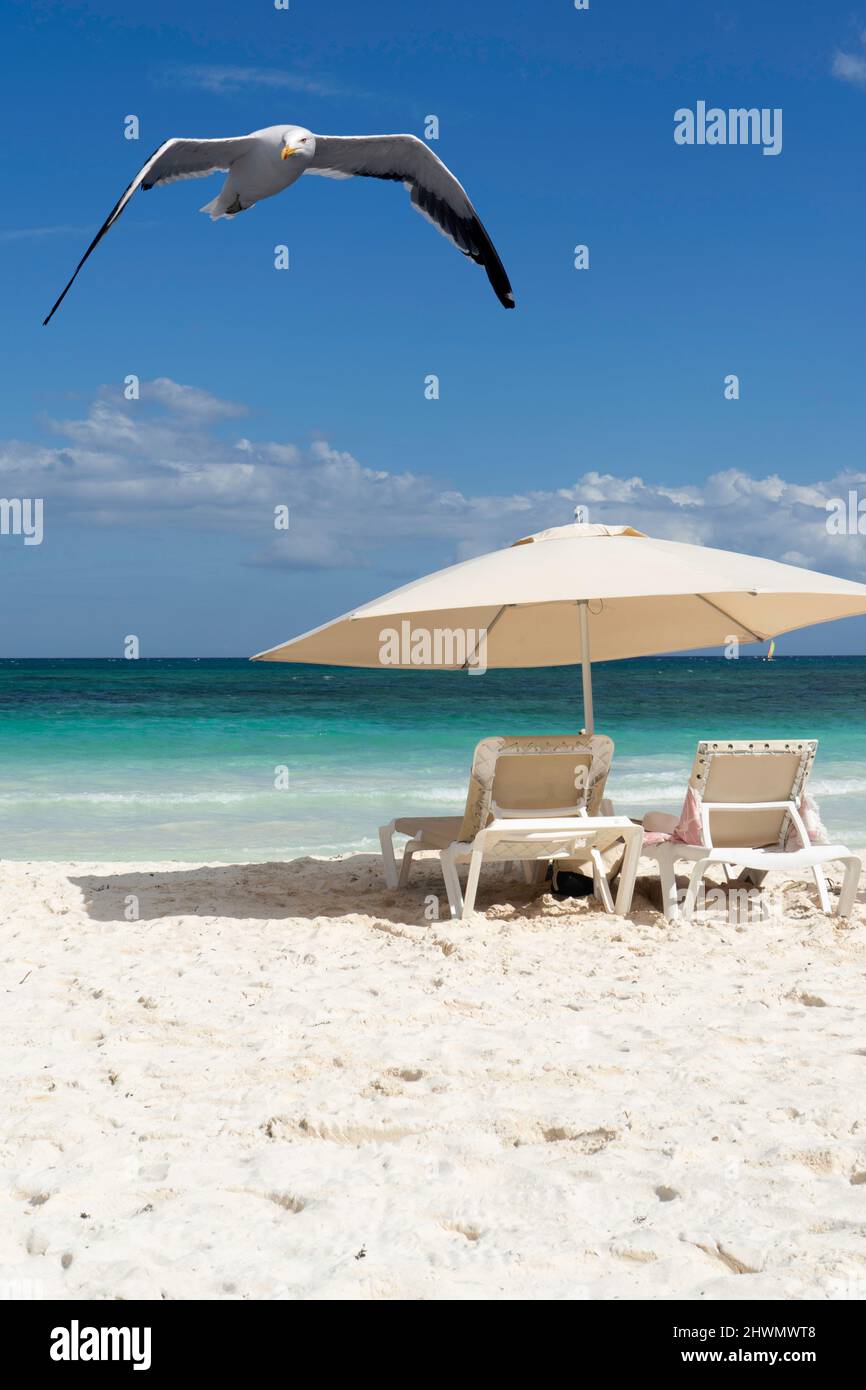 Sunshade on tropical caribbean hi-res stock photography and images - Alamy