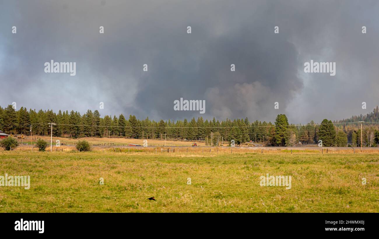 Smoke rises from Oregon wildfire burning in a forest Stock Photo - Alamy