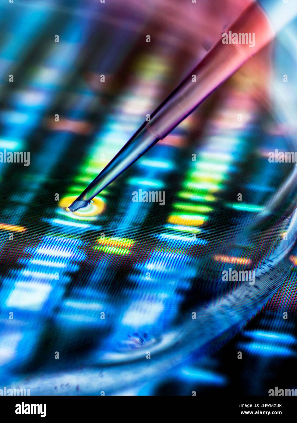 Conceptual image illustrating DNA gene editing Stock Photo - Alamy