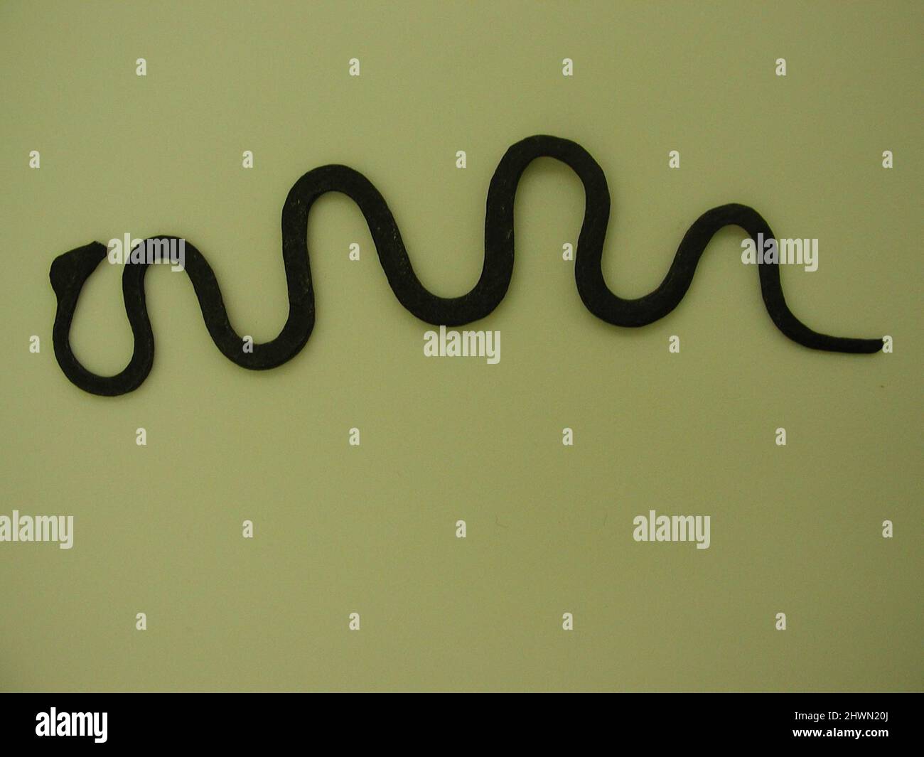 Snake hook hi-res stock photography and images - Alamy