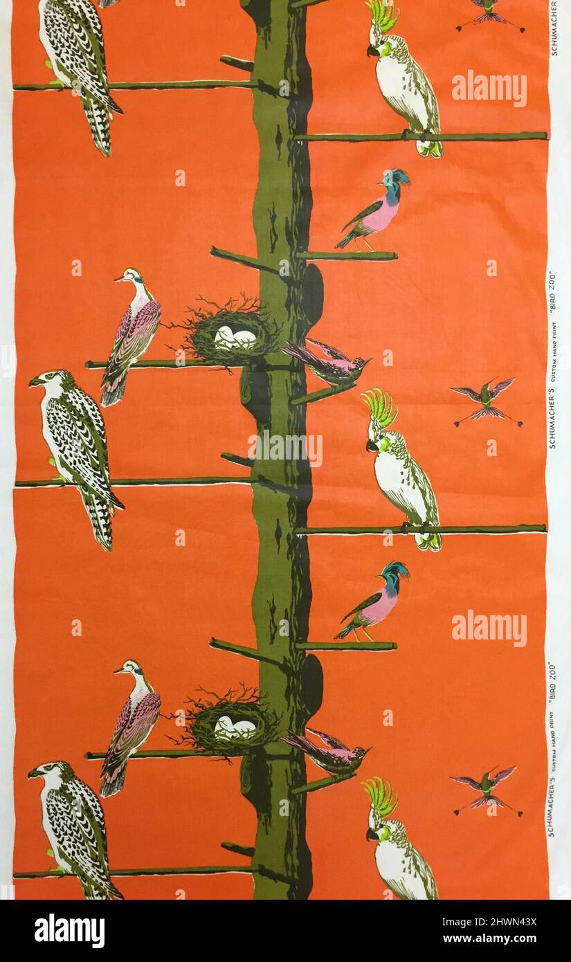 Joe martin hi-res stock photography and images - Alamy