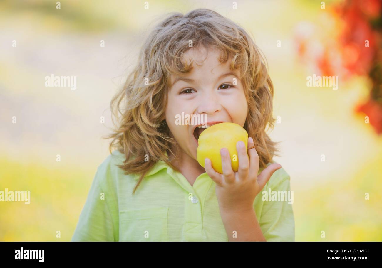 Healthy eating. Happy little child holding apples in summer green park ...