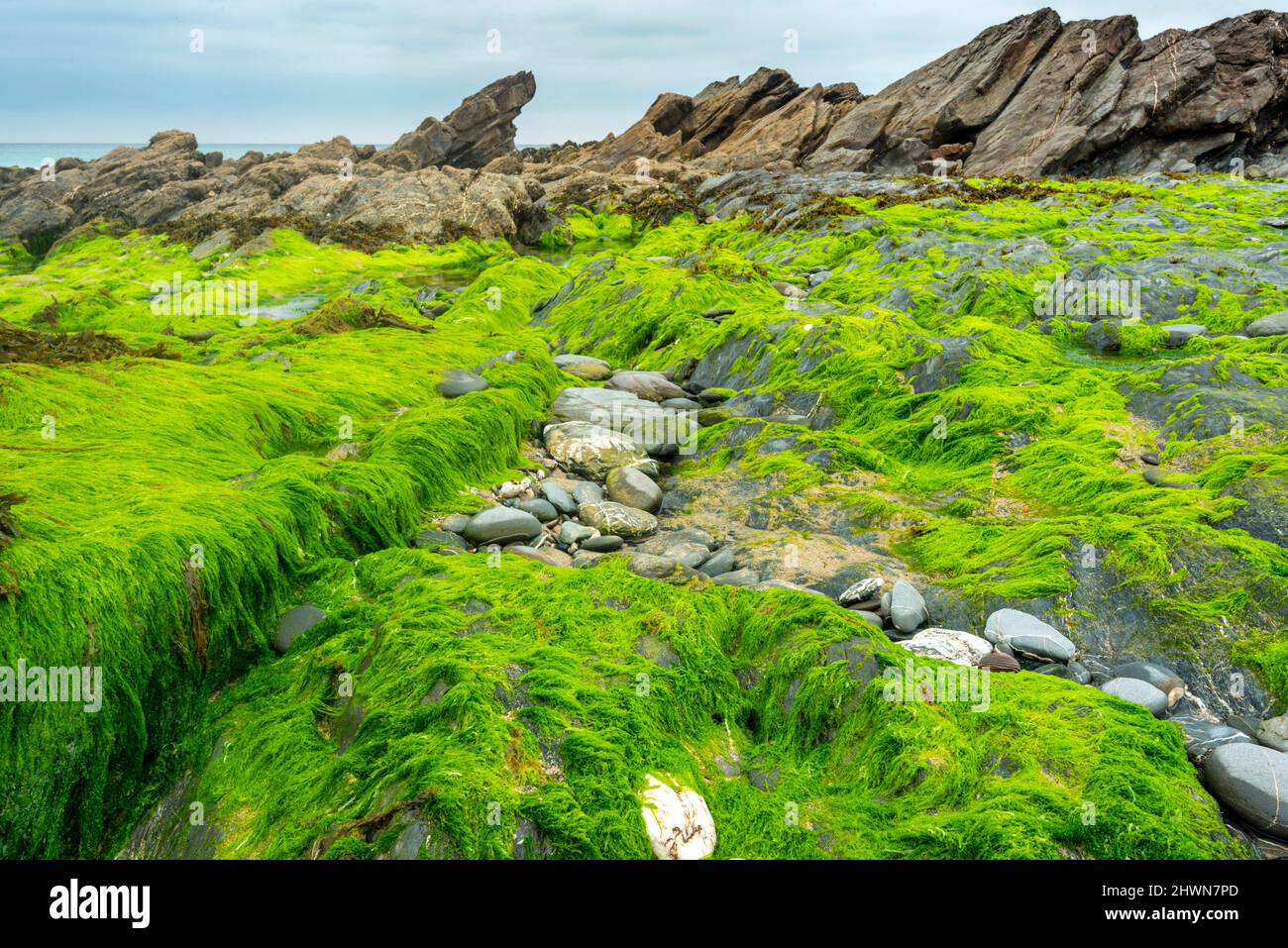 National Trust owned beach,dramatic rock formations,sits at the base of ...