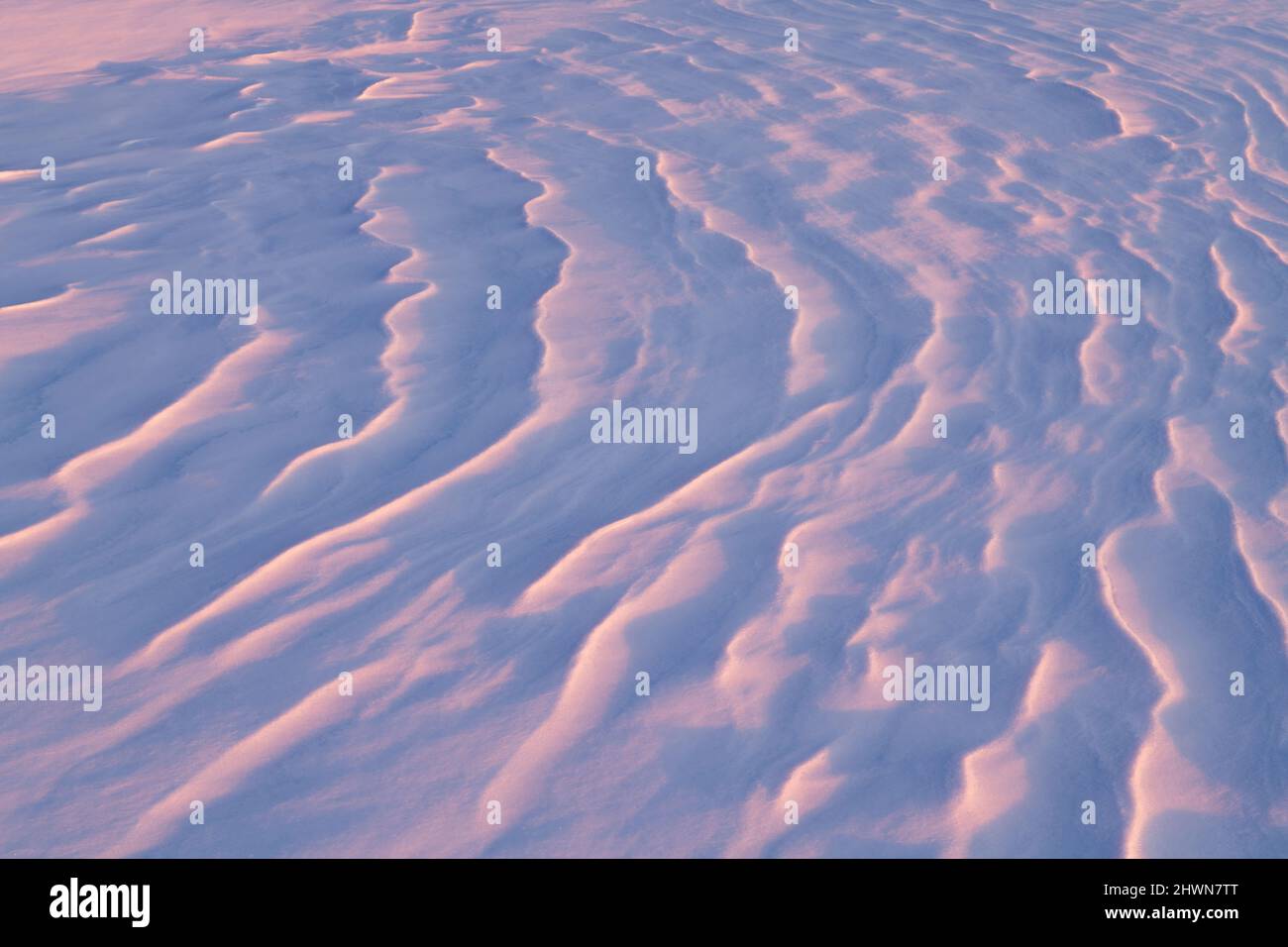 Wind-sculpted patterns in snow, North America, by Dominique Braud ...