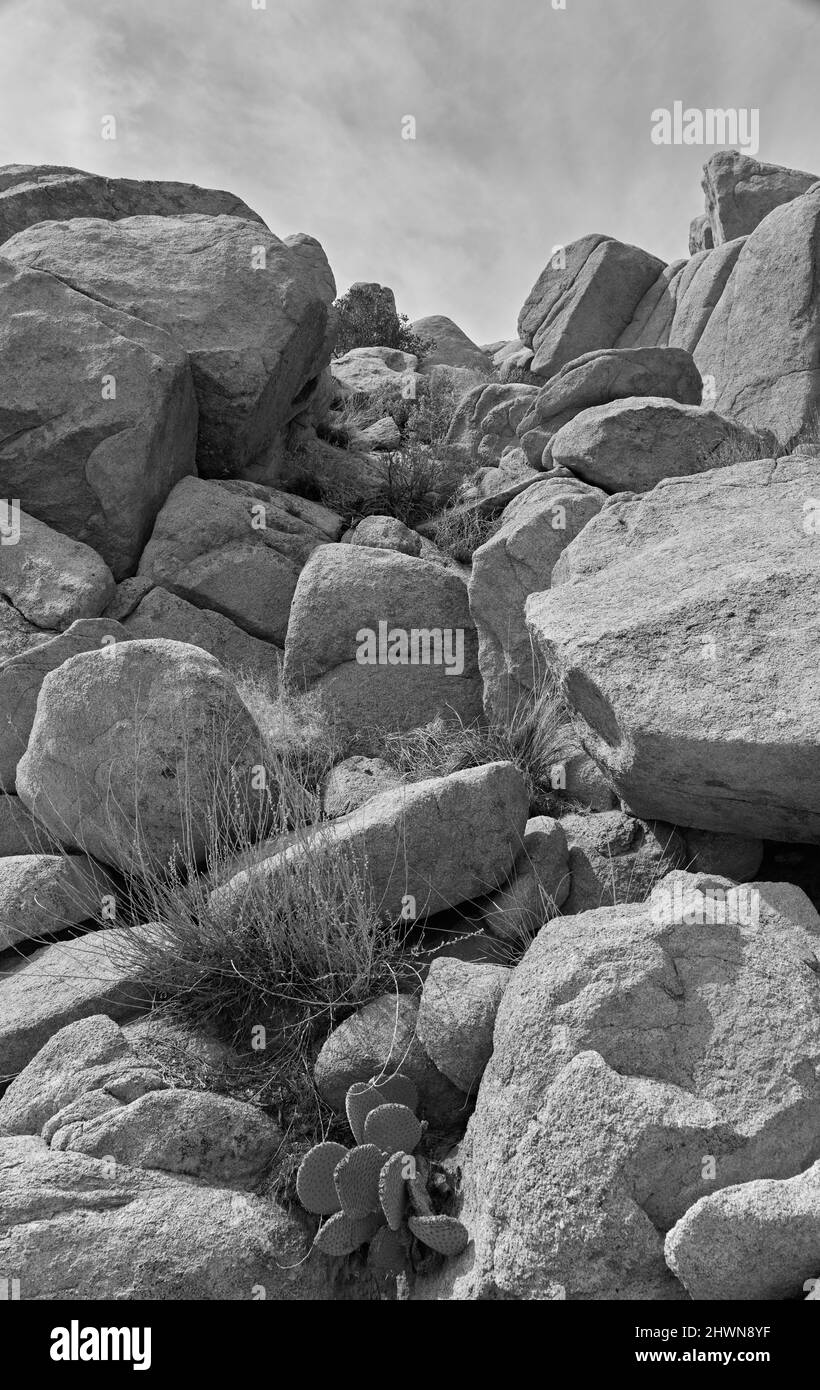 Joshua Tree National Park Stock Photo - Alamy
