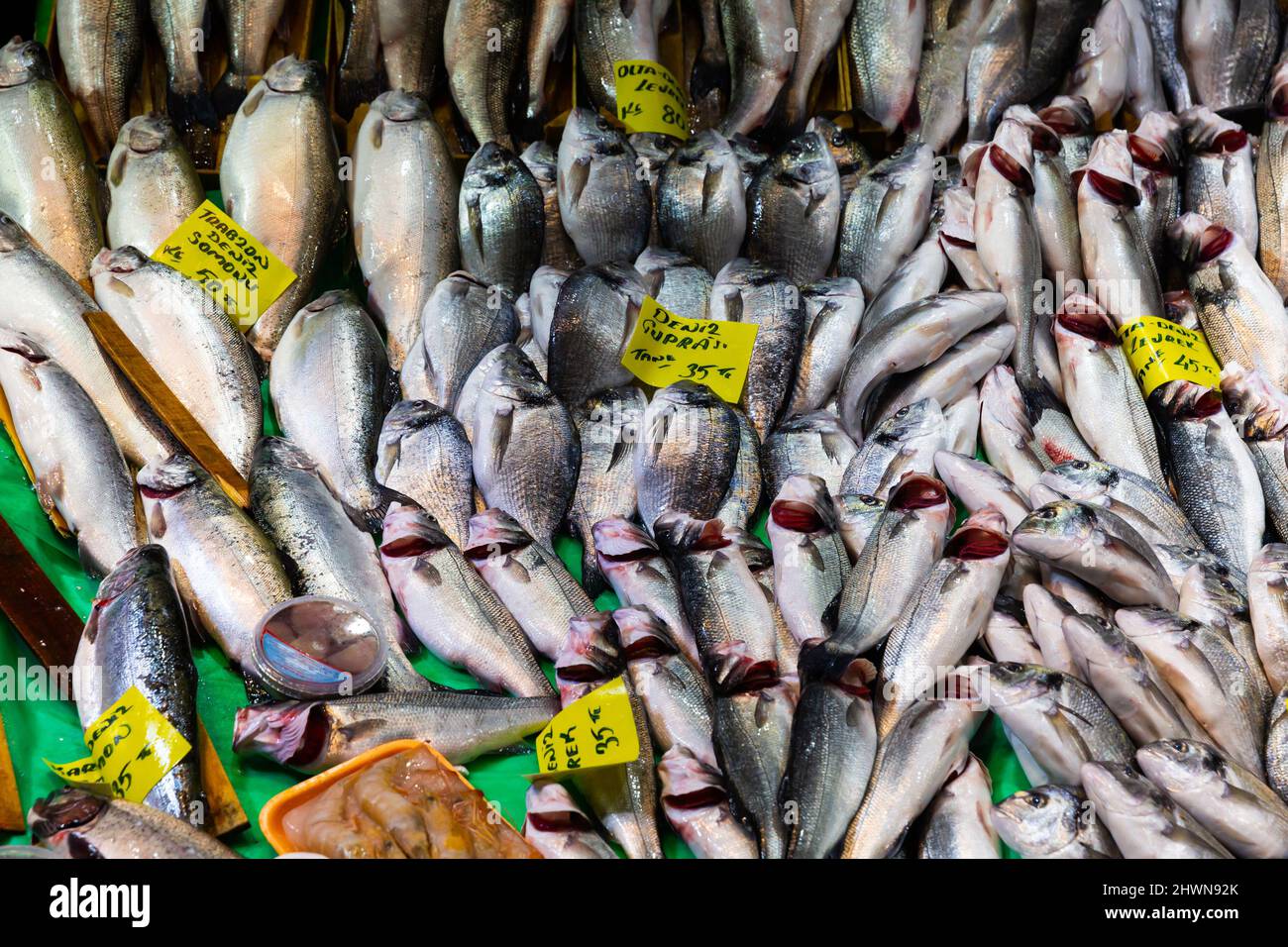 Fresh fish at seafood market in Istanbul. On the price tags names of ...