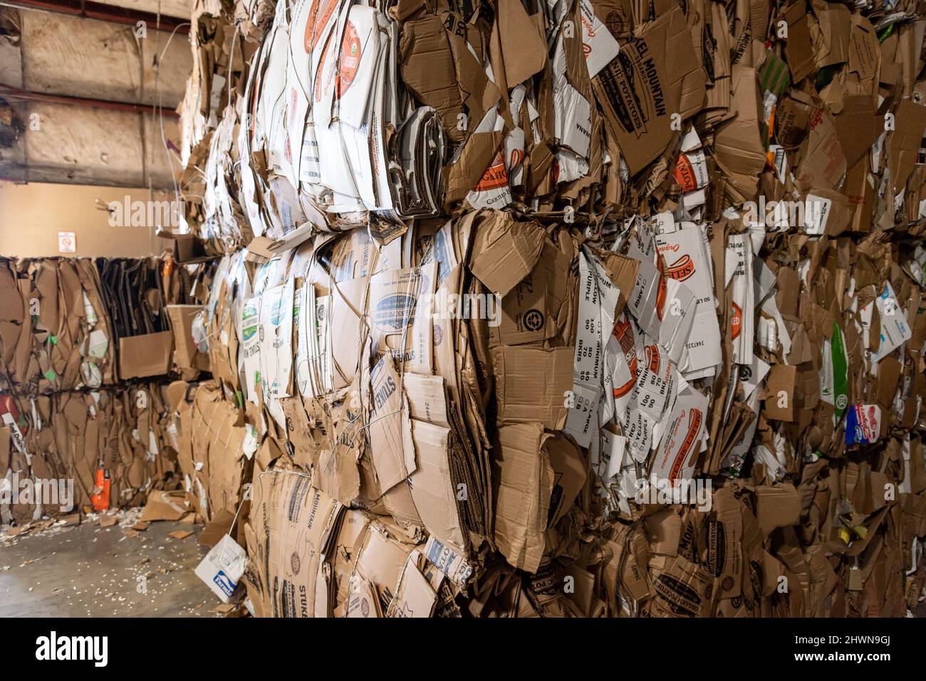 Bails of flattened cardboard at a recycling facility Stock Photo - Alamy