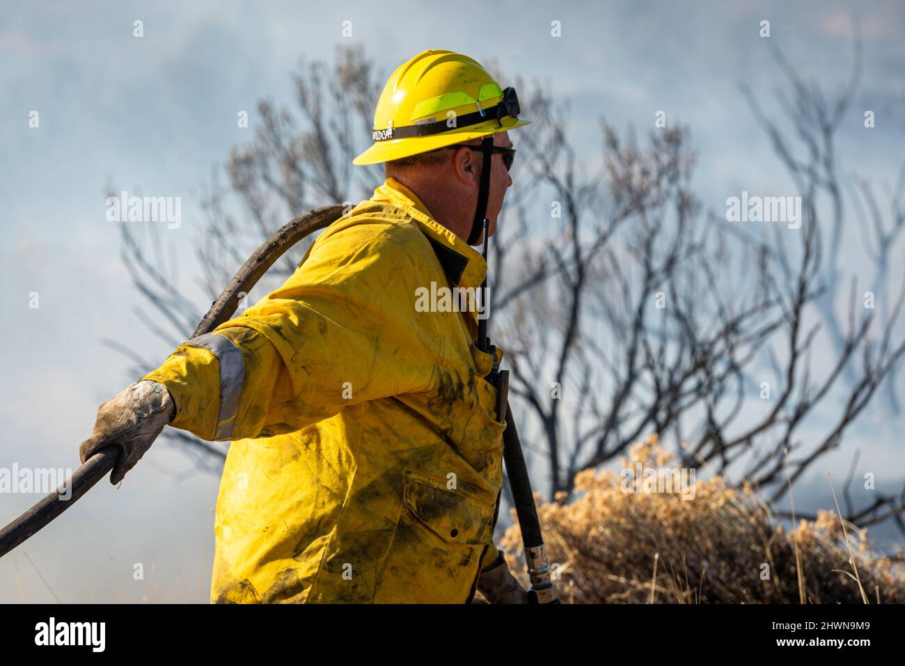 A fireman works a wildfire Stock Photo - Alamy